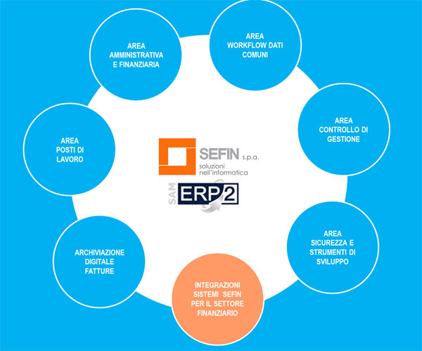 SEFIN SpA - SAM - ERP2 Controllo della situazione economica e finanziaria